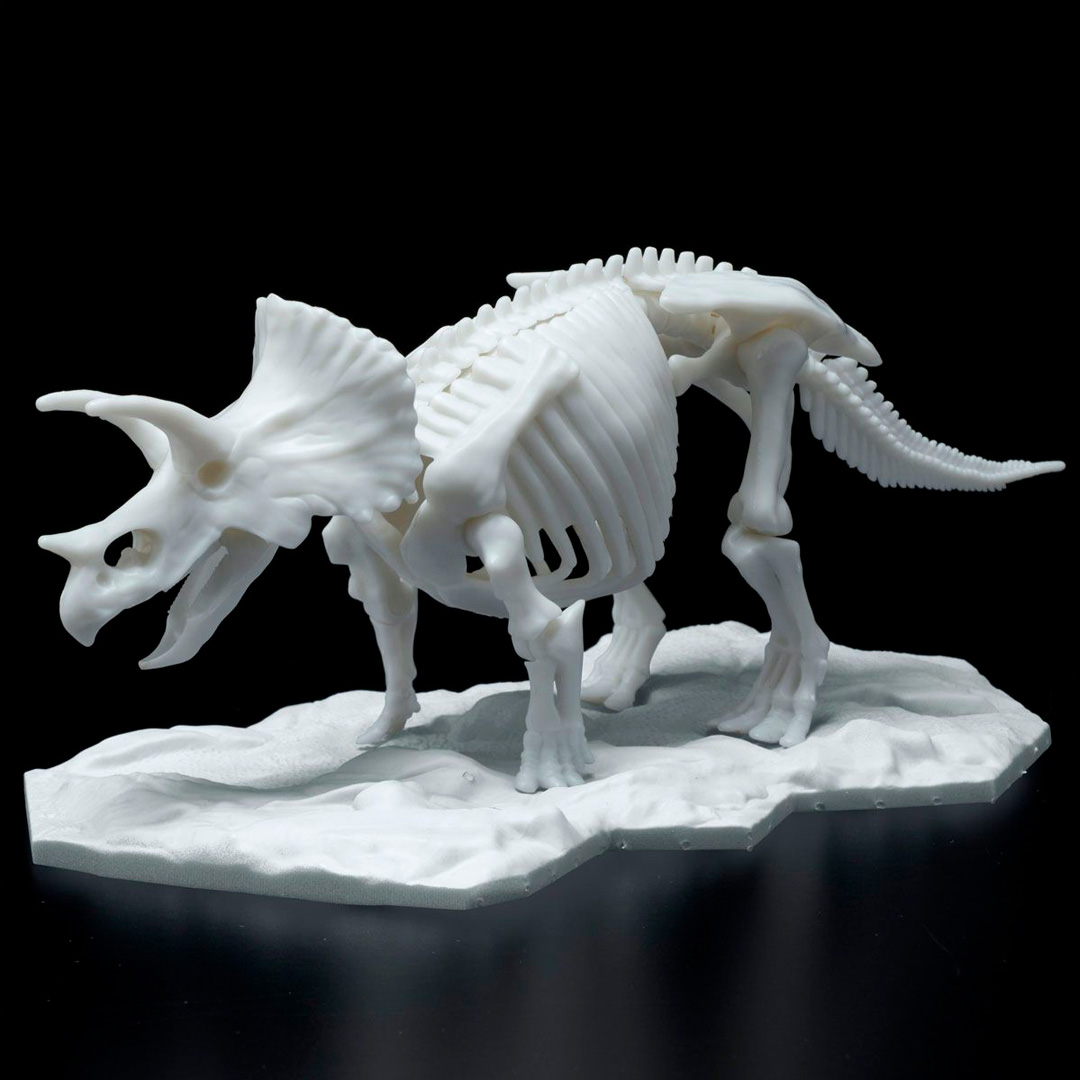 Model Kit Limex Triceratops Skeleton 1/32